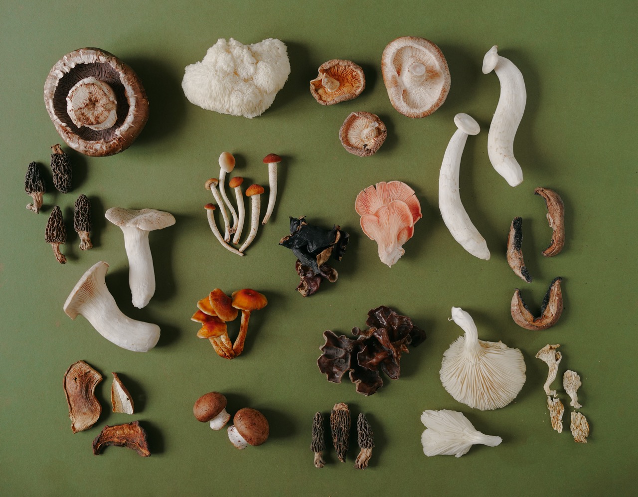 Adaptogenic Mushrooms: A Holistic Approach to Health | Attis Adaptogenic Mushrooms: A Holistic Approach to Health | Attis